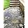 Ecochem Patio and Paving Cleaner - 1 Litre Treats up to 100 m²: Amazon ...