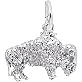 Amazon.com: Sterling Silver Buffalo Charm: Clothing, Shoes & Jewelry