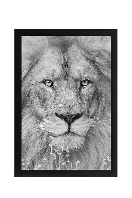 A Fineart of a Lion In a Photo Frame - A Portrait of a Lion Finished in ...
