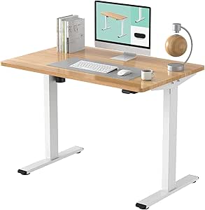 Amazon.com: FLEXISPOT EC1 Essential Electric Adjustable Height Standing Desk Whole Piece 48 x 30 ...
