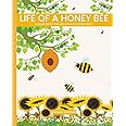 Life of a Honey Bee: A book about the life cycle of Honey Bees ...