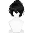 Amazon.com: Black Cosplay Emo Wig for Women Men, Short Spiky Synthetic ...