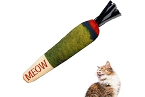 Amazon.com New Releases: The best-selling new & future releases in ...