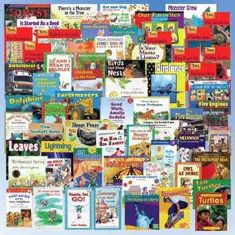 Amazon.com: Childcraft Second Grade Leveled Library Fiction and Non ...