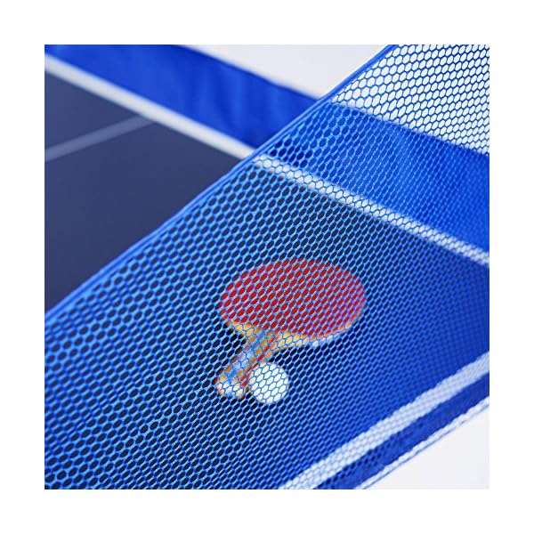 Table Tennis Ball Catch Net - Portable Ping Pong Return Board - Serve ...
