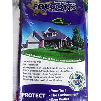 Amazon.com : SeedRanch Falcon IV Turf Type Tall Fescue Grass Seeds - 50 ...