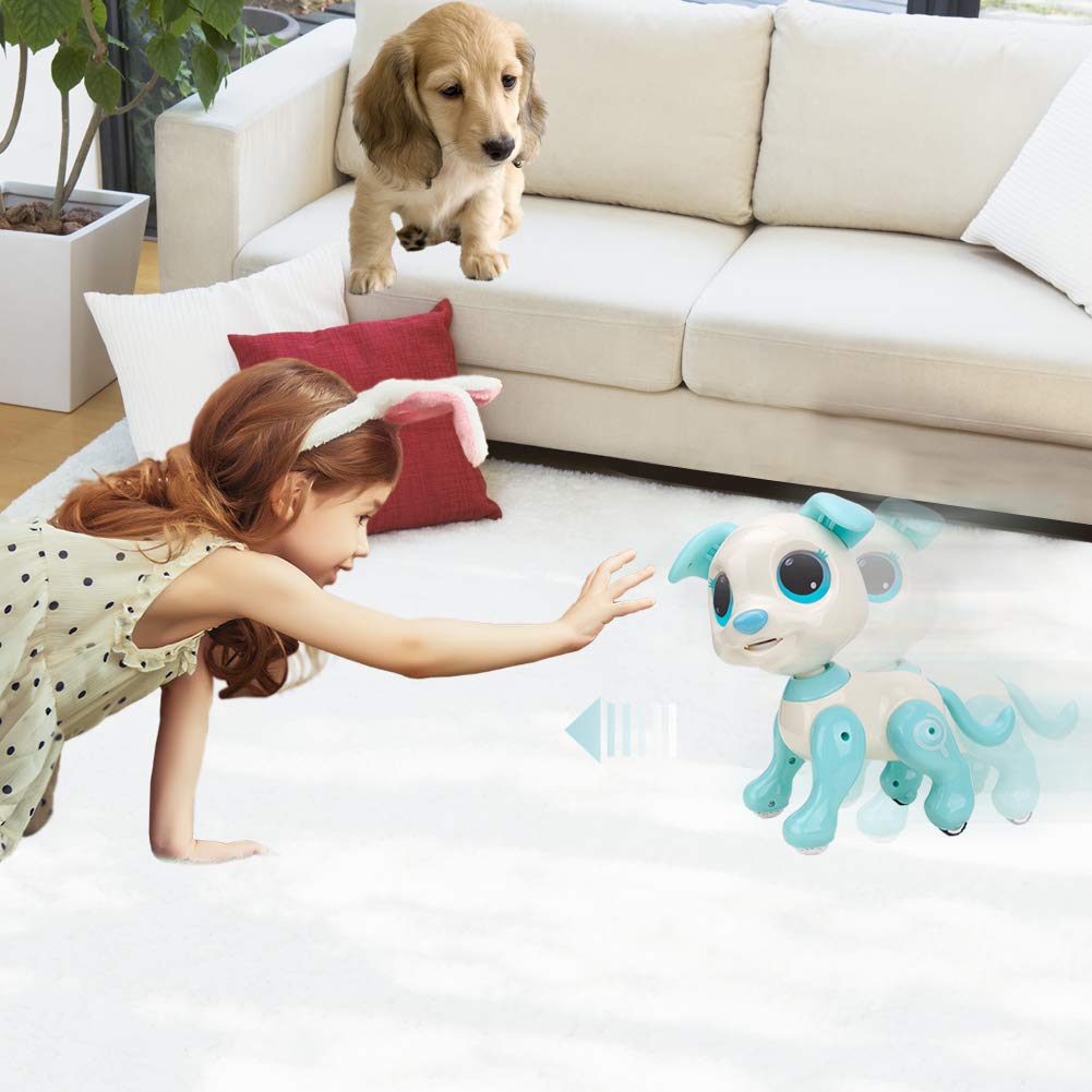 BIRANCO. Interactive RC Dog Toy - Cute Gesture Sensing Puppy for ...