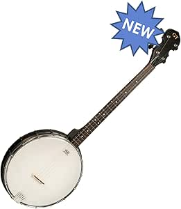 Amazon.com: Gold Tone, 4-String Banjo, Right (AC-4): Musical Instruments
