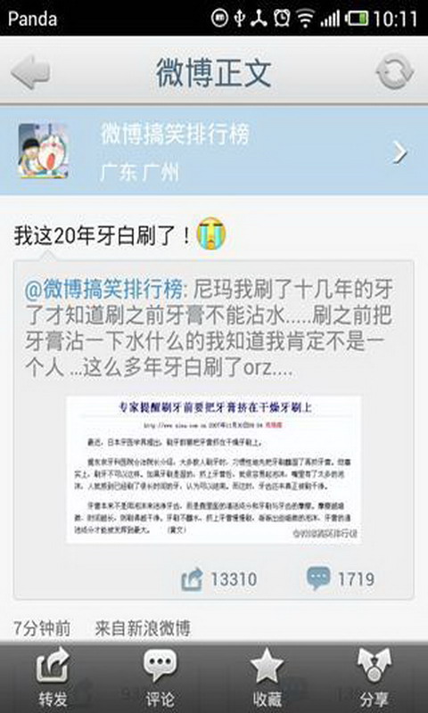 Amazon.com: panda weibo