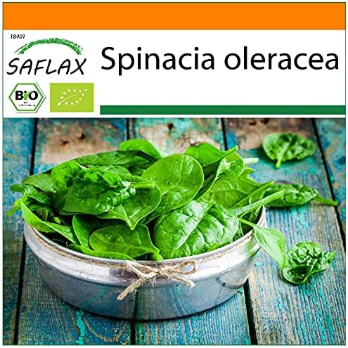 Garden in The Bag - Organic - Spinach - Giant Winter - 250 Seeds - with ...