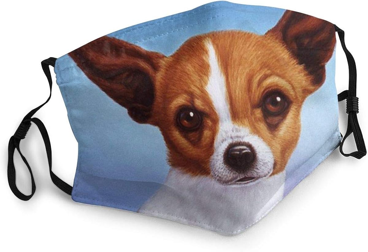 Chihuahua Paintings Black Face Masks Washable Reusable Safety Masks ...