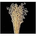 Amazon.com - 24-28" Gold Sparkle Curly Ting Ting Branch