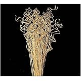 Amazon.com: Green Floral Crafts - 2 Feet Glitter Sparkle Gold Curly ...