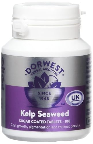Dorwest Herbs Kelp Seaweed Tablets for Dogs and Cats 100 Tablets ...