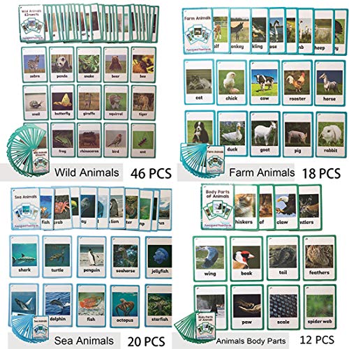 Richardy Wild/Farm/Sea Animals Body Parts Learning English Flash Cards ...