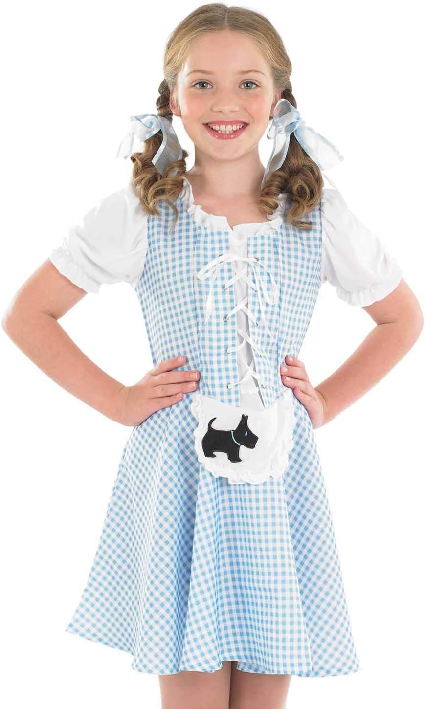 Fun Shack Kids Classic Dorothy Costume Girls Book Week Character Dress ...