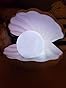 The Source Wholesale Colour Changing Clam Light: Amazon.co.uk: Lighting