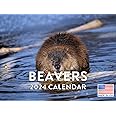 Amazon.com: Beaver Calendar 2024 Monthly Wall Calender 12 Month : Home ...