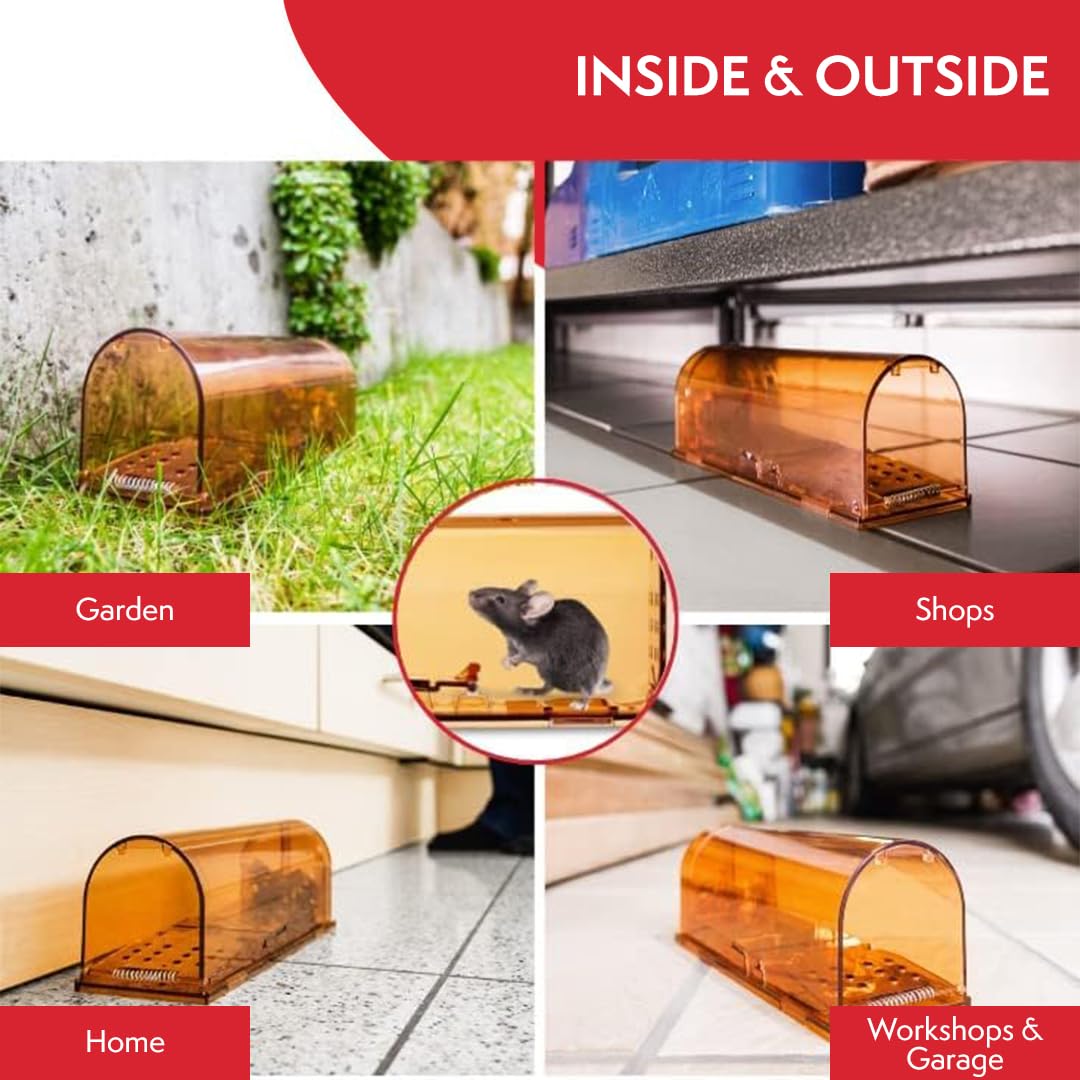 Mua PATTLER® | 2 Humane Mouse Trap for Indoor and Outdoor Home ...