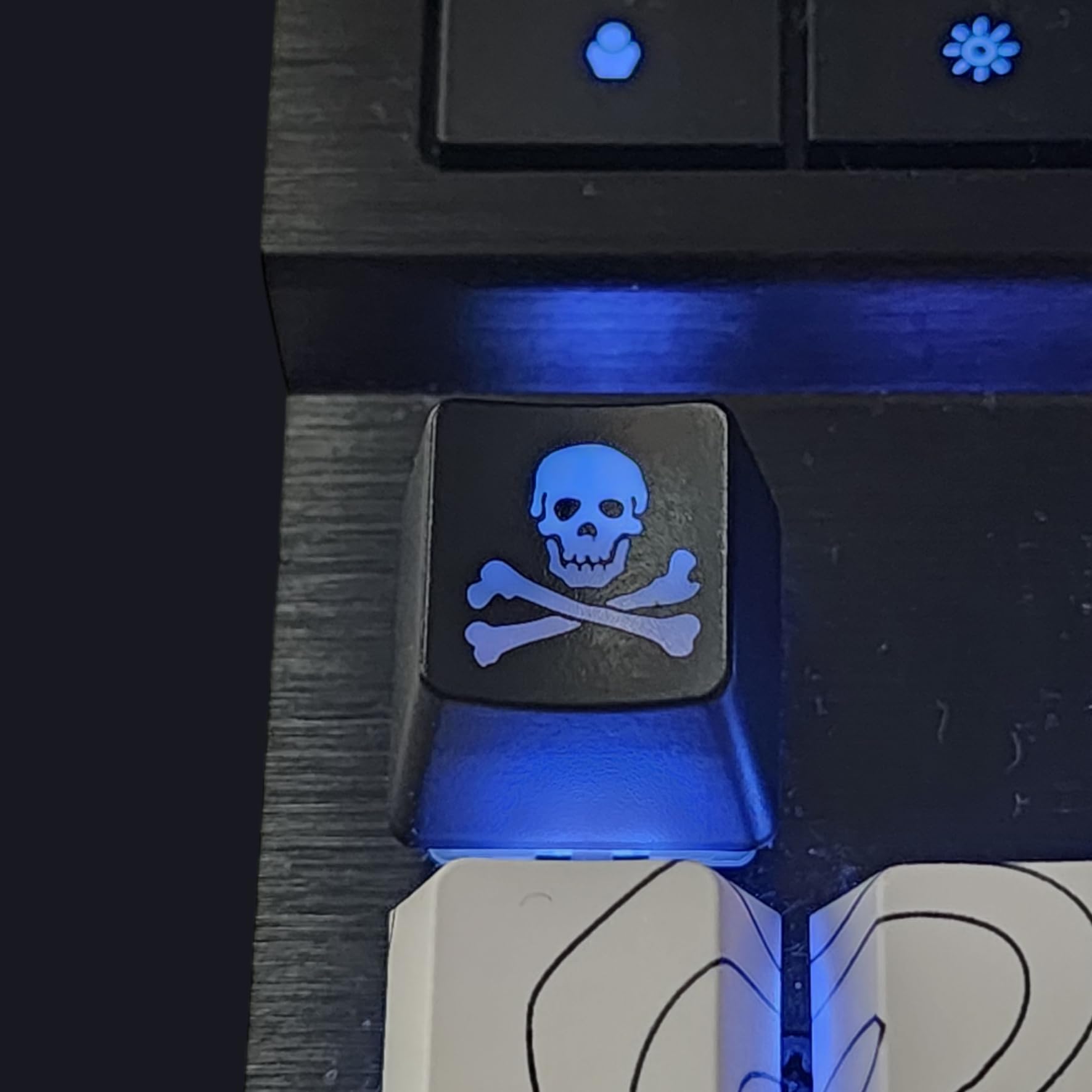 Mua Skull & Crossbones Backlit Keycap Set - Custom kecaps for Cherry MX ...