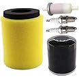 Amazon.com: HURI Tune Up Kit for 11013-1263 Kawasaki Mule 550 600 610 ...