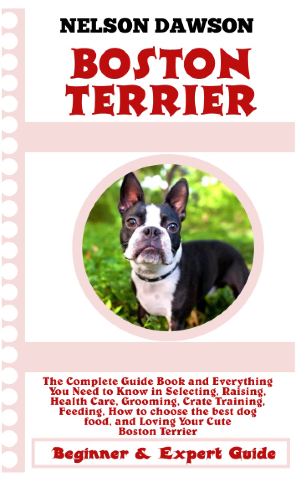 How To Take Care Of A Boston Terrier Puppy