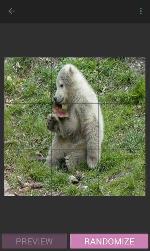 Siggar:Amazon.com:Appstore for Android