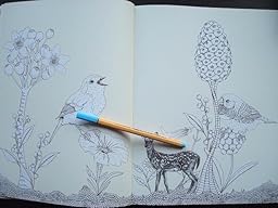 Birdtopia: Colouring Book (Colouring Books): Amazon.co.uk: Daisy ...