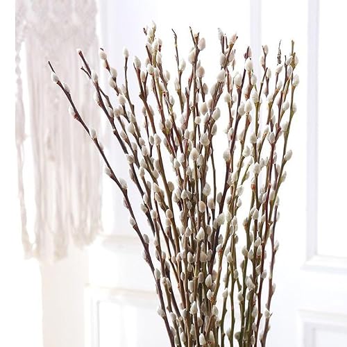 30 Branches Pussy Willow Branches for Vases 23 Inches Natural Dried ...