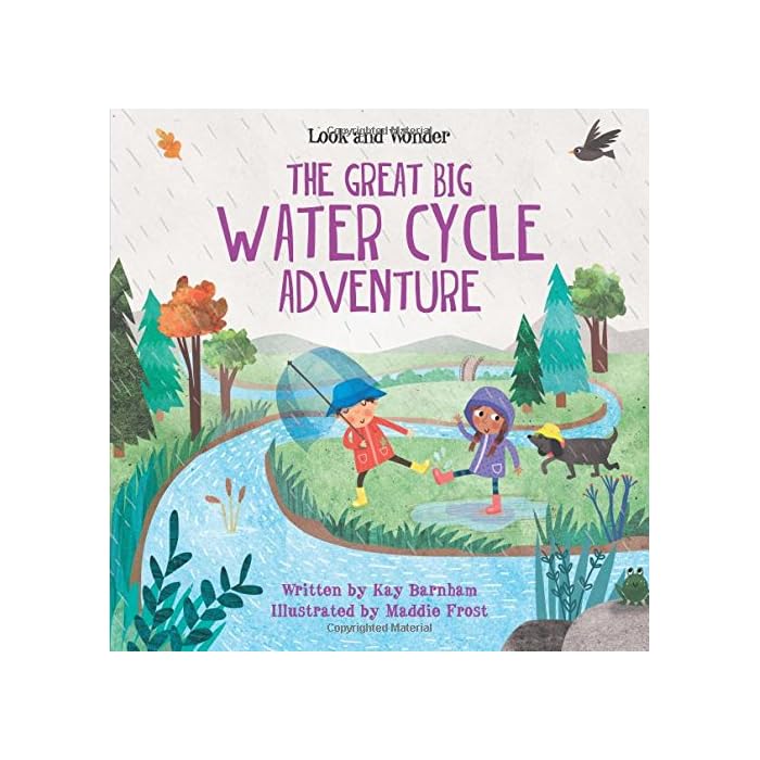 Buy The Great Big Water Cycle Adventure (Look and Wonder Books) Online ...
