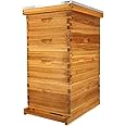 Amazon.com : MayBee 10-Frame Langstroth Beehive Dipped in 100% Beeswax ...