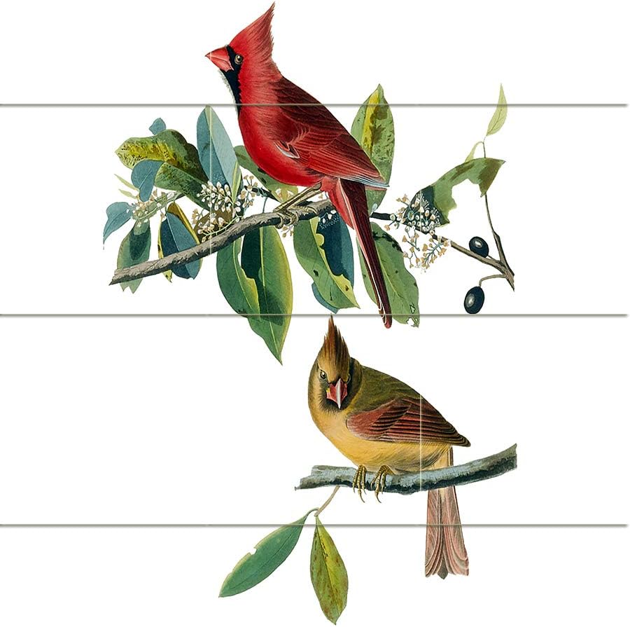 Cardinal Grosbeak J. Audubon Tile Mural Kitchen Wall Backsplash Marble ...