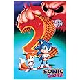Amazon.com: Pyramid America Sonic The Hedgehog Break Through Rocks Sega ...