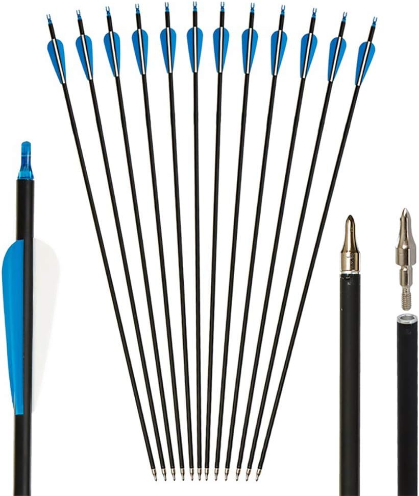 LJHLJH Flèches Carbone 31" Chasse flèches Spine 500, flèches de Chasse ...