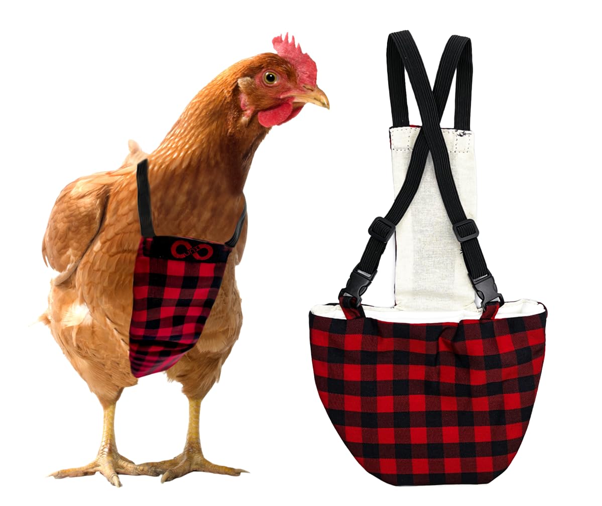 Chicken Diapers for Roosters, Hens - Disposable Lining, Reusable ...