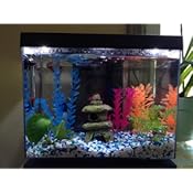 Amazon.com : Marineland Classic Aquarium Kit, 4-Gallon : Aquarium ...