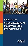 A Place Where the Sea Remembers (Scribner's Paperback Fiction): Sandra ...