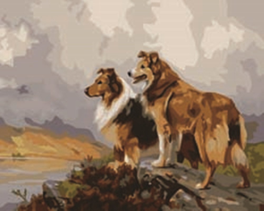 Paint by Number Kits of Dogs • Paint By Number For Adults