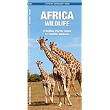 South Africa Birds: A Folding Pocket Guide to Familiar Species in the ...