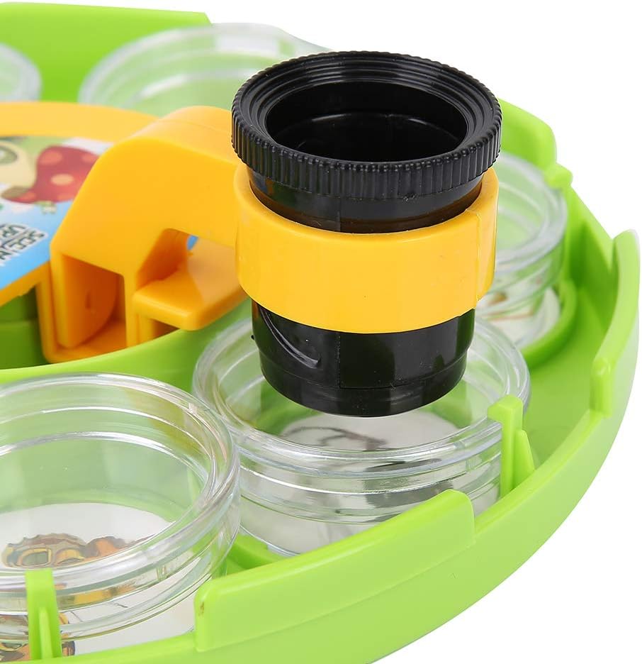 Drfeify Insect Capture Observation Box, Magnifier Container for Kids to ...