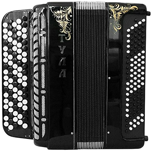 top-10-accordion-brands-of-2019-topproreviews