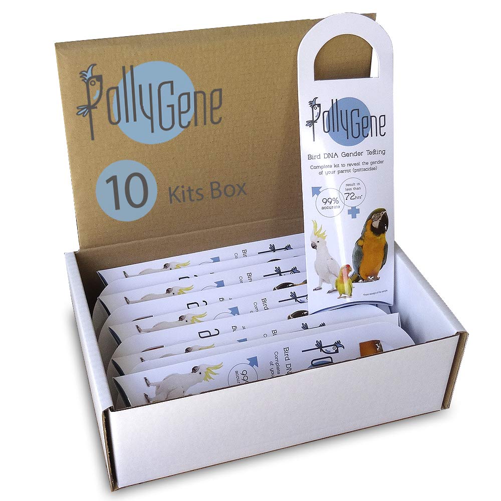 Buy 10 Bird Gender Testing Kits for Parrots Lovebirds Cockatoos Macaw ...