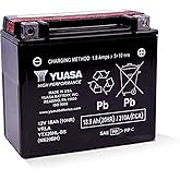 Amazon.com: Yuasa YTX20L-BS Battery : Automotive