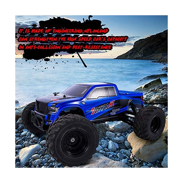 Distianert 1:12 Scale 4WD RTR Rock Crawler Electric RC Car with 2.4GHz ...