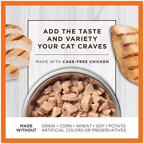 The Best Semi Moist Cat Food 2018 