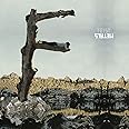 Feist - Metals - Amazon.com Music