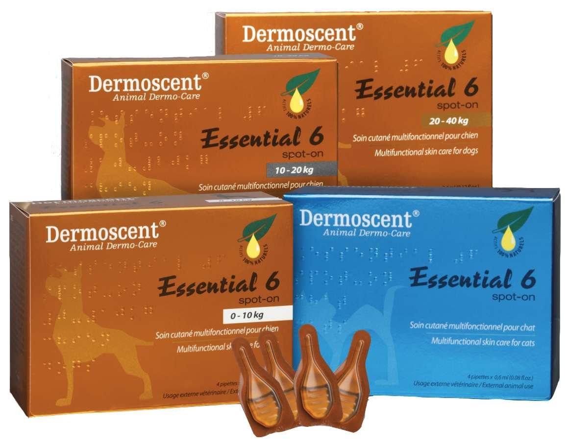 Dermoscent Essential 6 Skin Supplement (Pack Size: Small Dog)- Buy ...