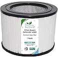 Amazon.com: Replacement Hepa Filter for Filter Queen Defender 4000 ...