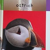 Amazon.com: First 100 Animals (9780312496760): Roger Priddy: Books