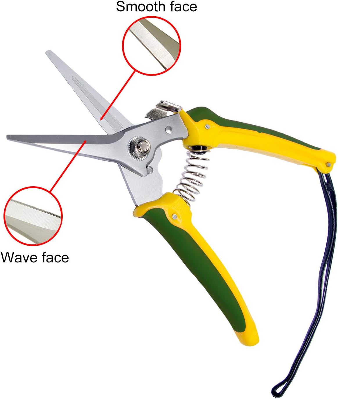 8-inch Multipurpose Footrot Shears Goat Sheep Alpaca Hoof Trimmers Pig ...